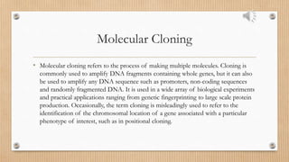 Cloning.pptx