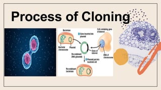 Cloning- Unlocking the Secrets of Genetic Replication - Cloning ...