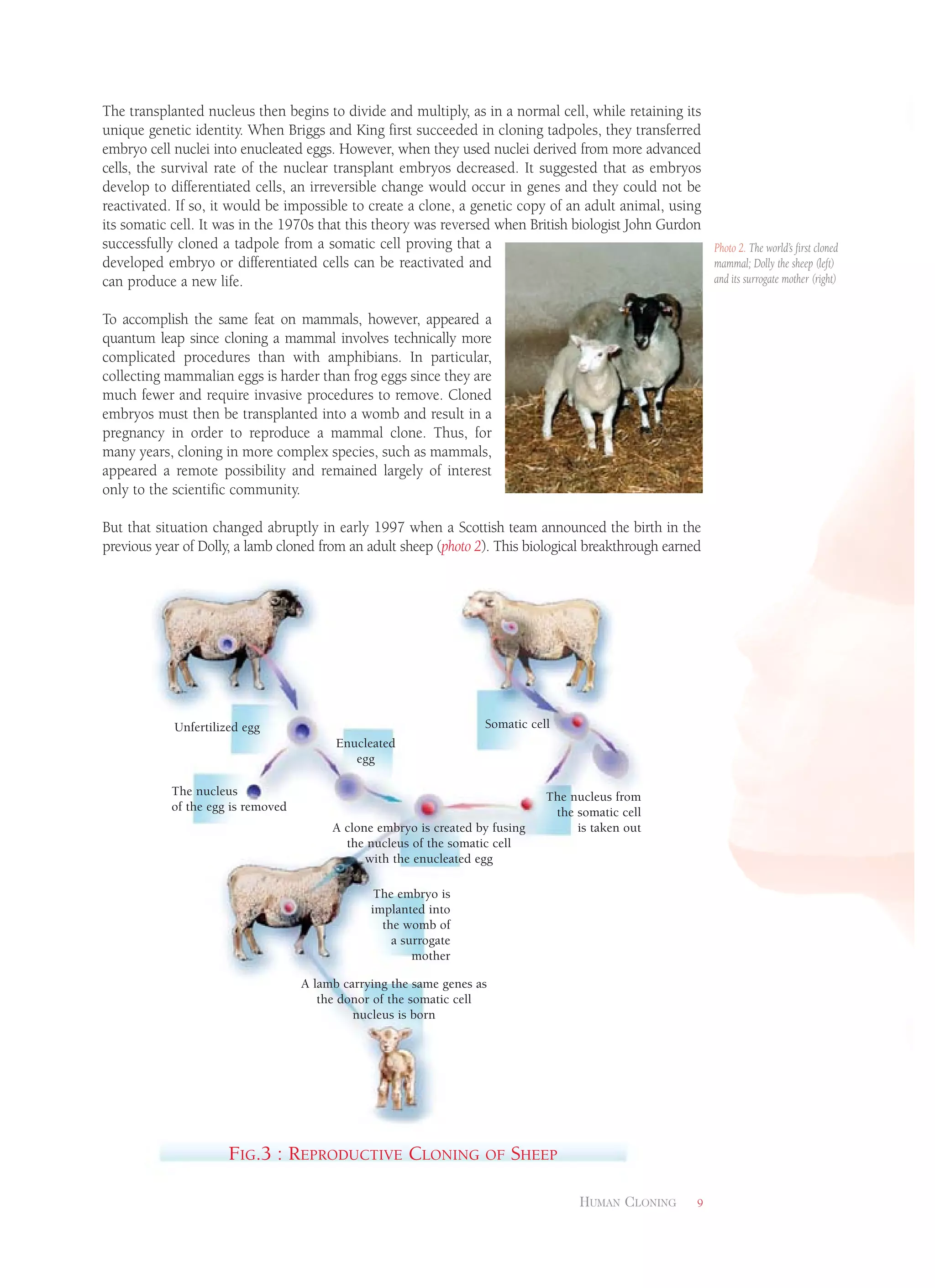 Cloning ethical issues | PDF