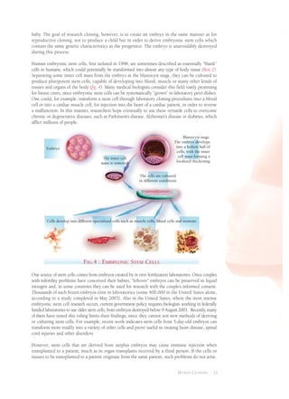Cloning ethical issues | PDF