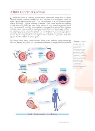 Cloning ethical issues | PDF