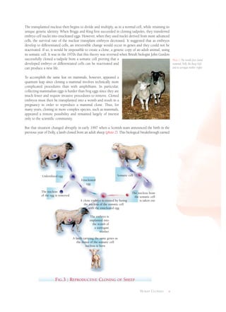 Cloning ethical issues | PDF