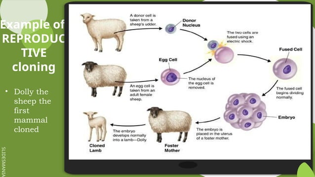agricultural biotechnology-DNA Cloning-gabutero.pptx