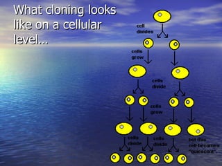 Cloning Lesson | PPT