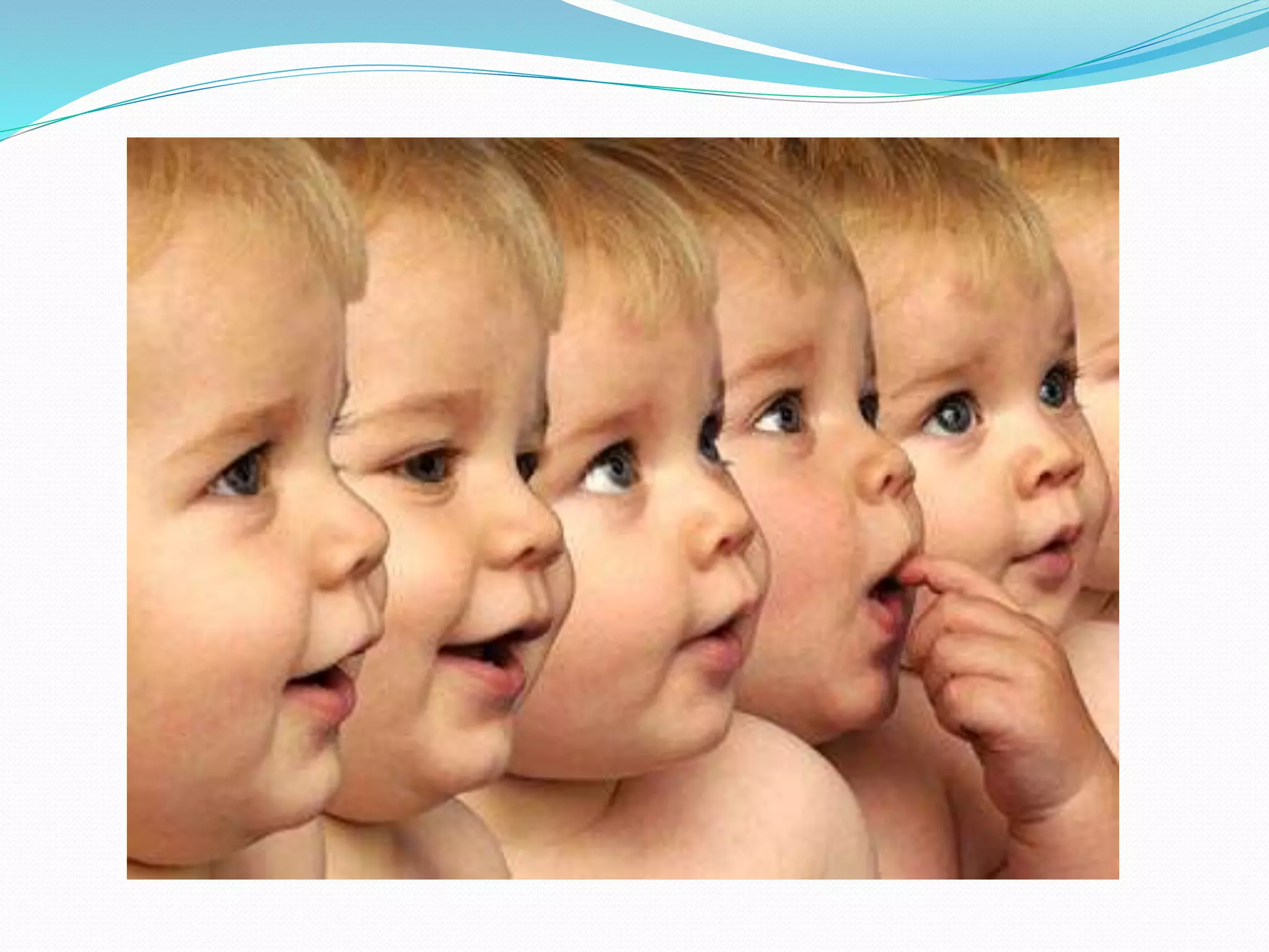 Cloning and bioethics | PPTX