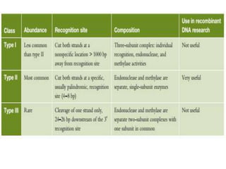 Cloning and expression vectors | PPTX | Biological Sciences | Science