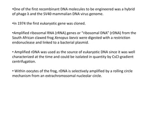 Cloning and expression vectors | PPT