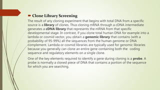 Cloning and molecular analysis of gene | PPT