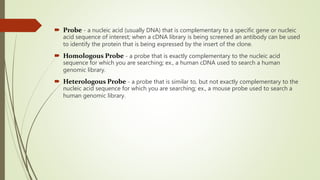 Cloning and molecular analysis of gene | PPT