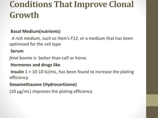 Cloning and selection by ghalia | PPTX