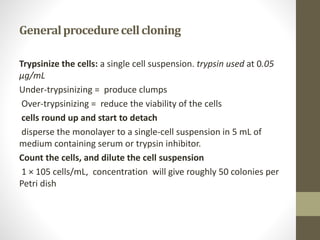 Cloning and selection by ghalia | PPTX