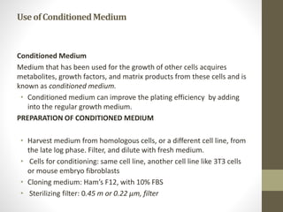 Cloning and selection by ghalia | PPTX