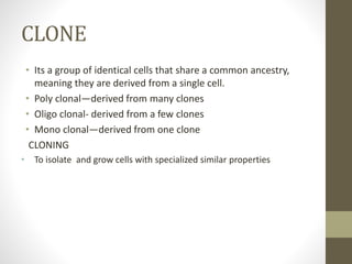 Cloning and selection by ghalia | PPTX
