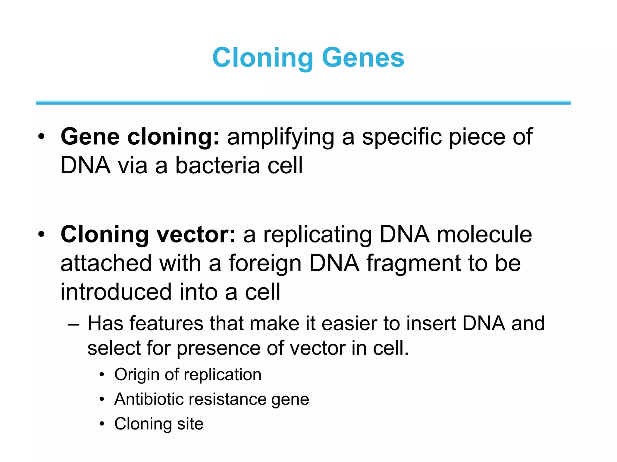 cloning and transformation.ppt