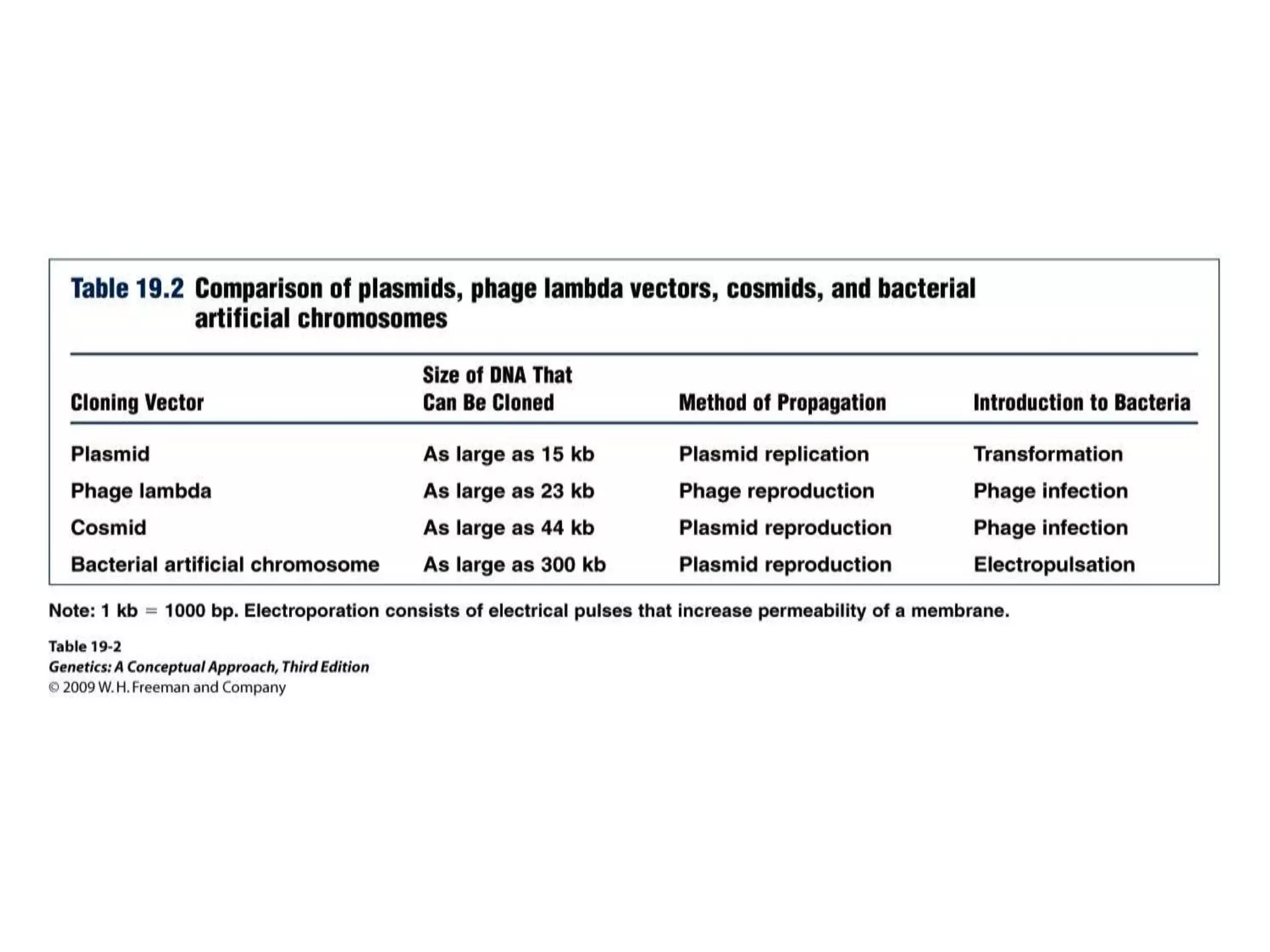 cloning and transformation.ppt