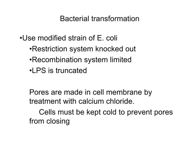 cloning and transformation.ppt | Biological Sciences | Science