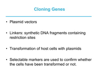 cloning and transformation.ppt