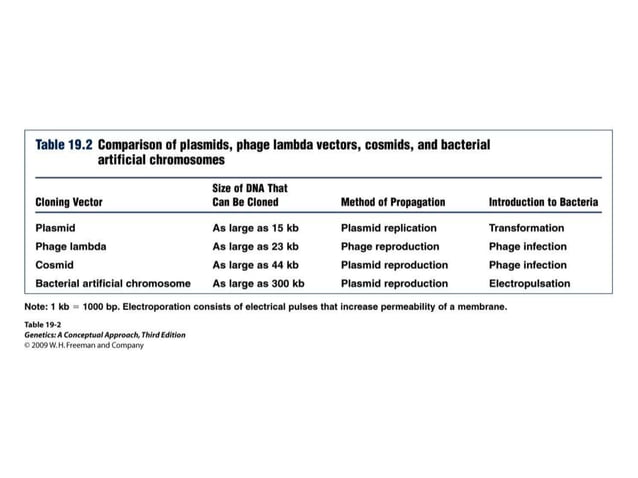 cloning and transformation.ppt | Biological Sciences | Science