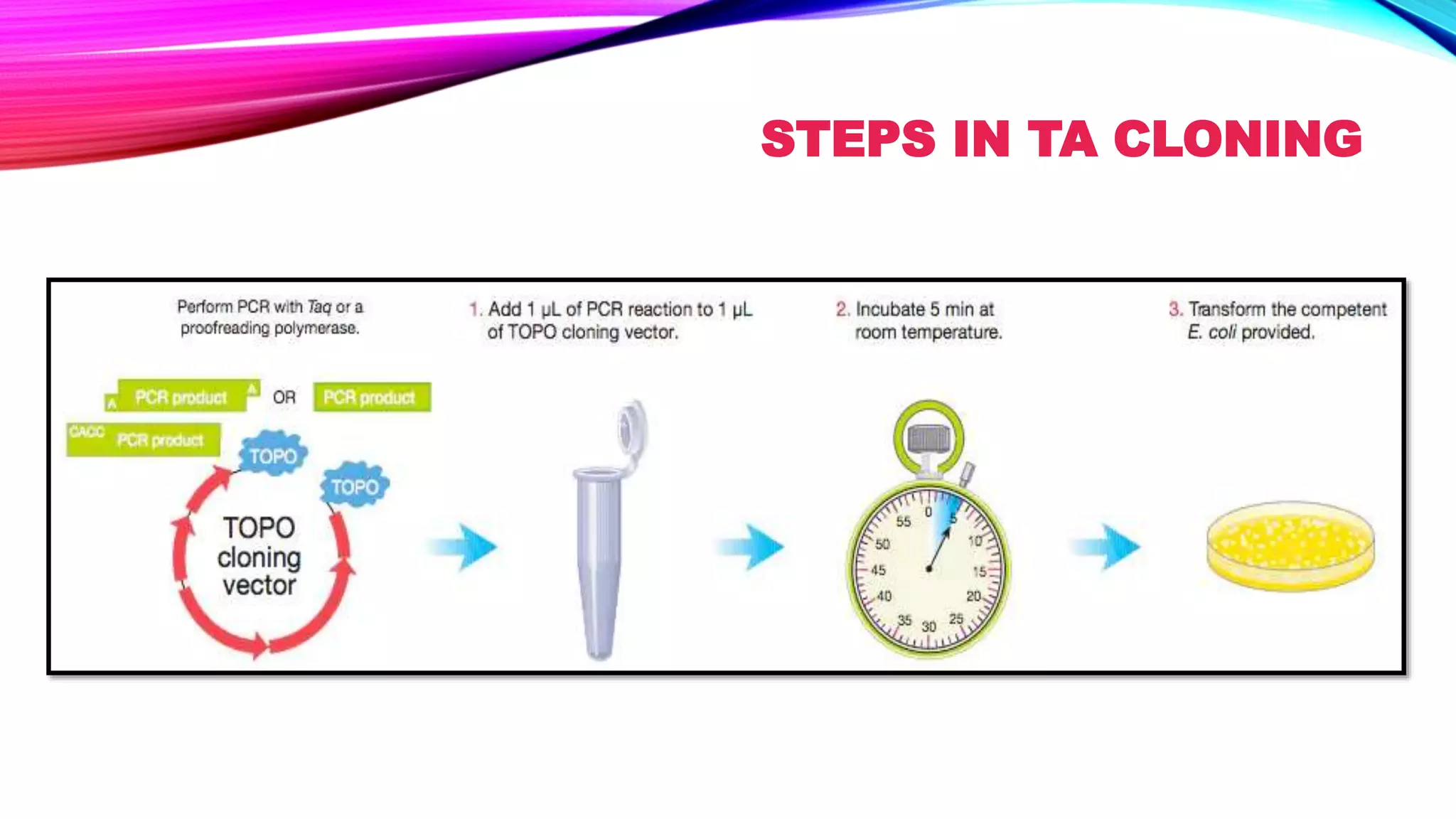 Cloning and types of cloning | PPTX