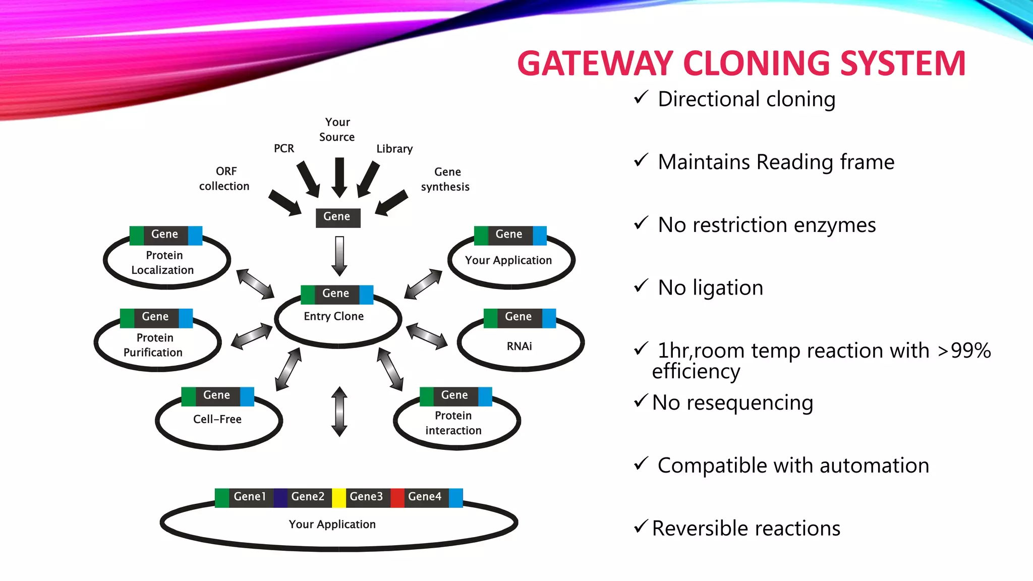 Cloning and types of cloning | PPTX