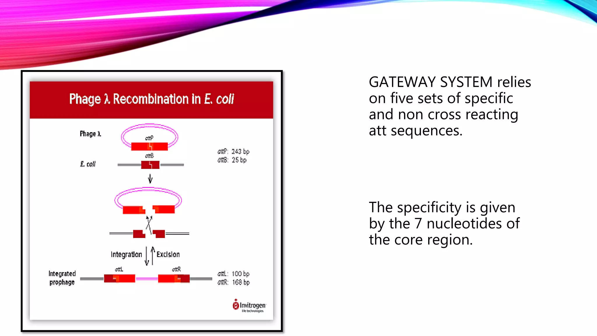 Cloning and types of cloning | PPTX