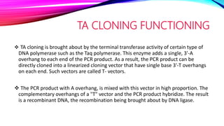 Cloning and types of cloning | PPTX