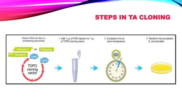 Cloning and types of cloning | PPTX | Biological Sciences | Science