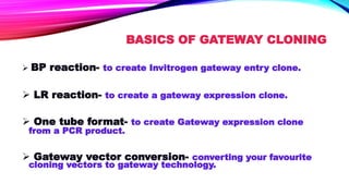 Cloning and types of cloning | PPTX