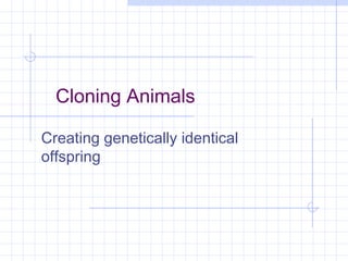 A2 Cloning animals | PPT