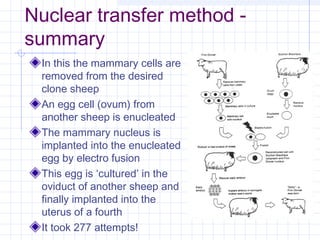 A2 Cloning animals | PPT