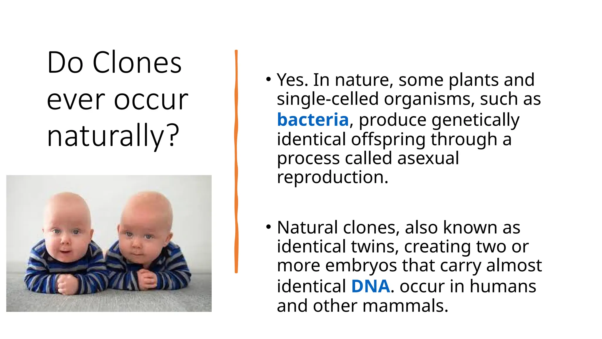 biology cloning processes DNA and the genes | PPT