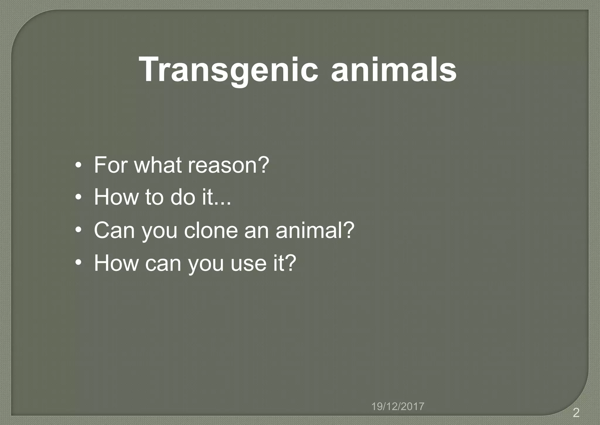 TRANSGENIC ANIMALS | PPTX