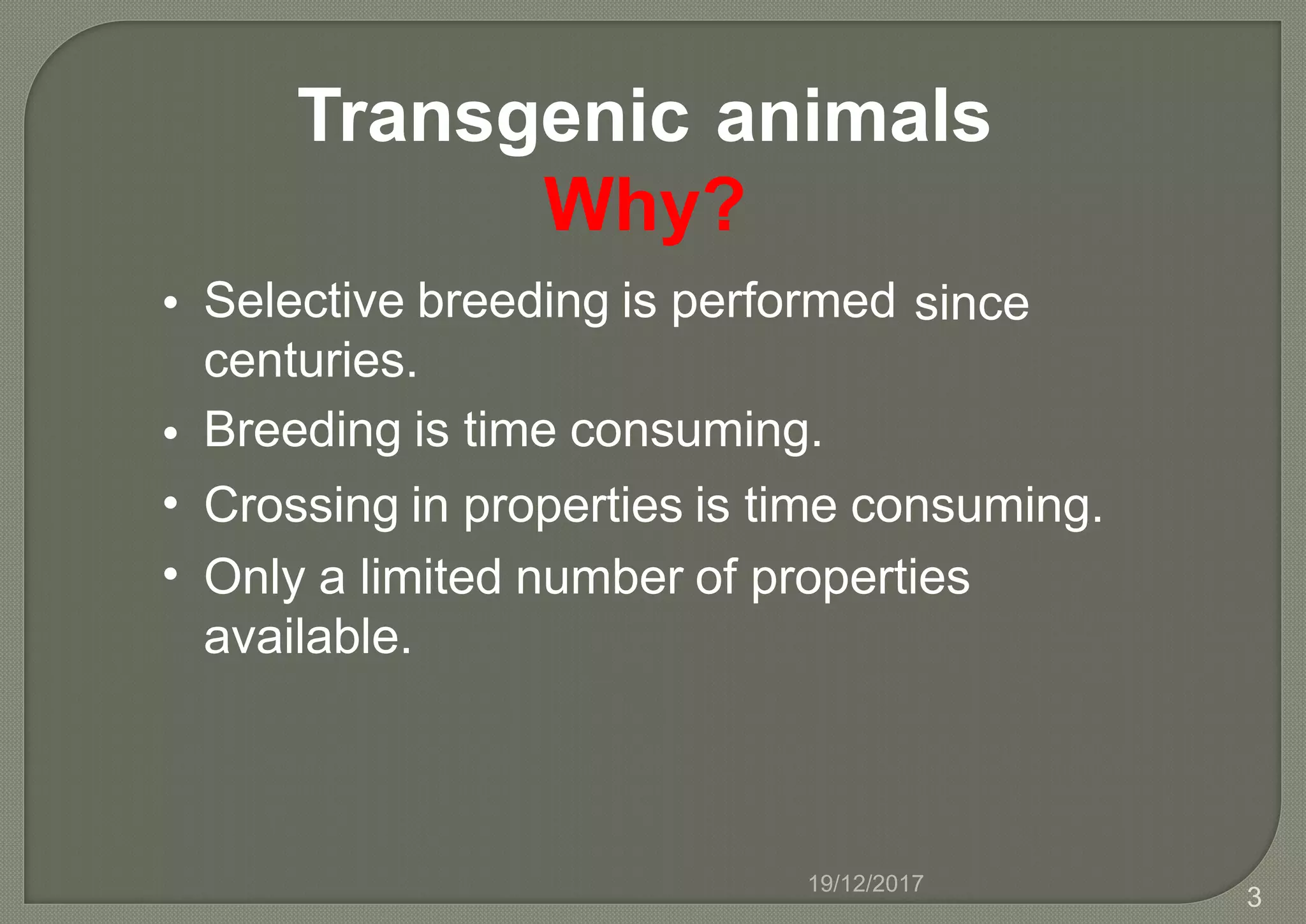 TRANSGENIC ANIMALS | PPTX