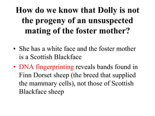 cloning_dolly.pptx