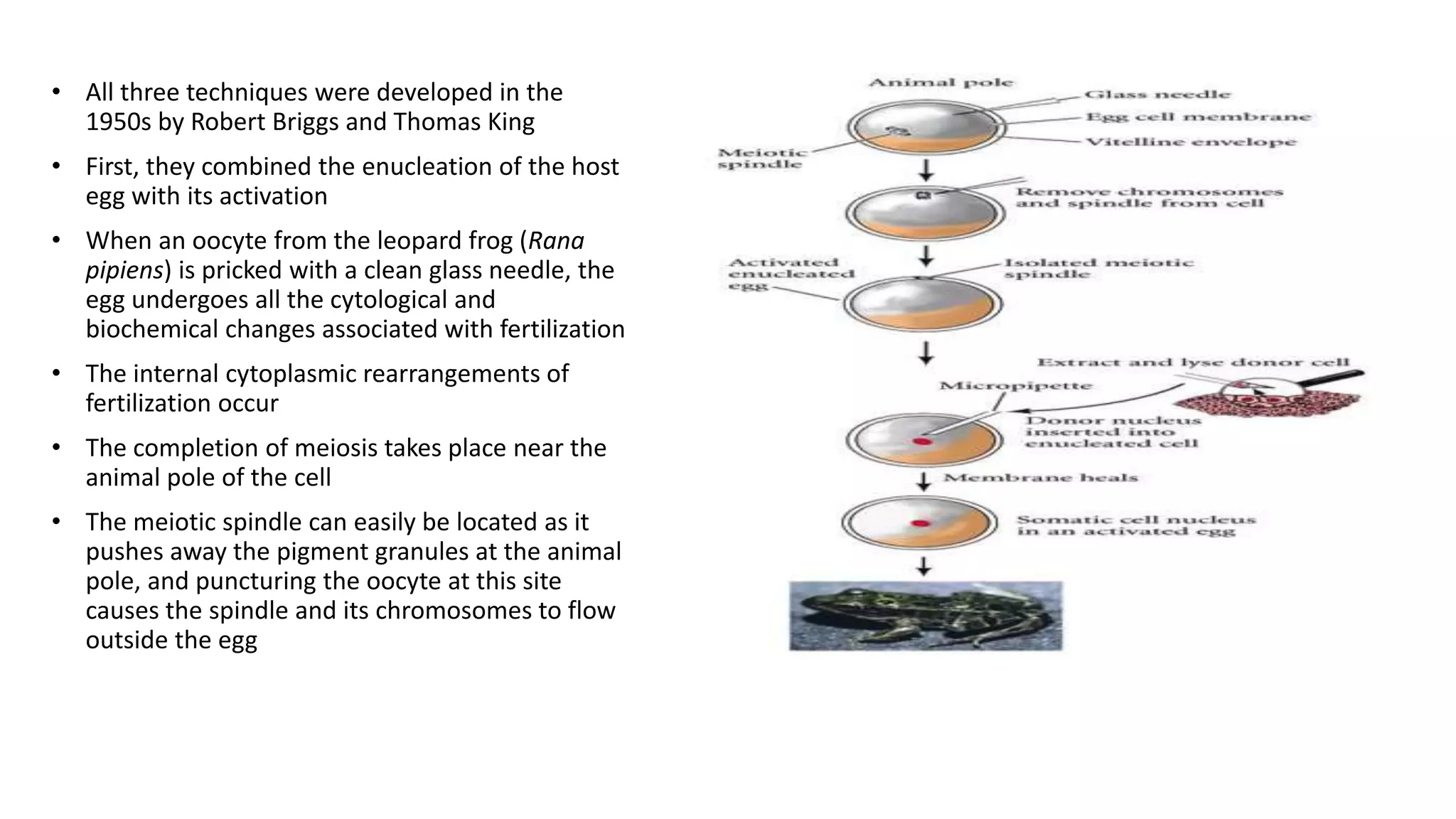 Cloning experiments in amphibians, mammals and human | PPTX