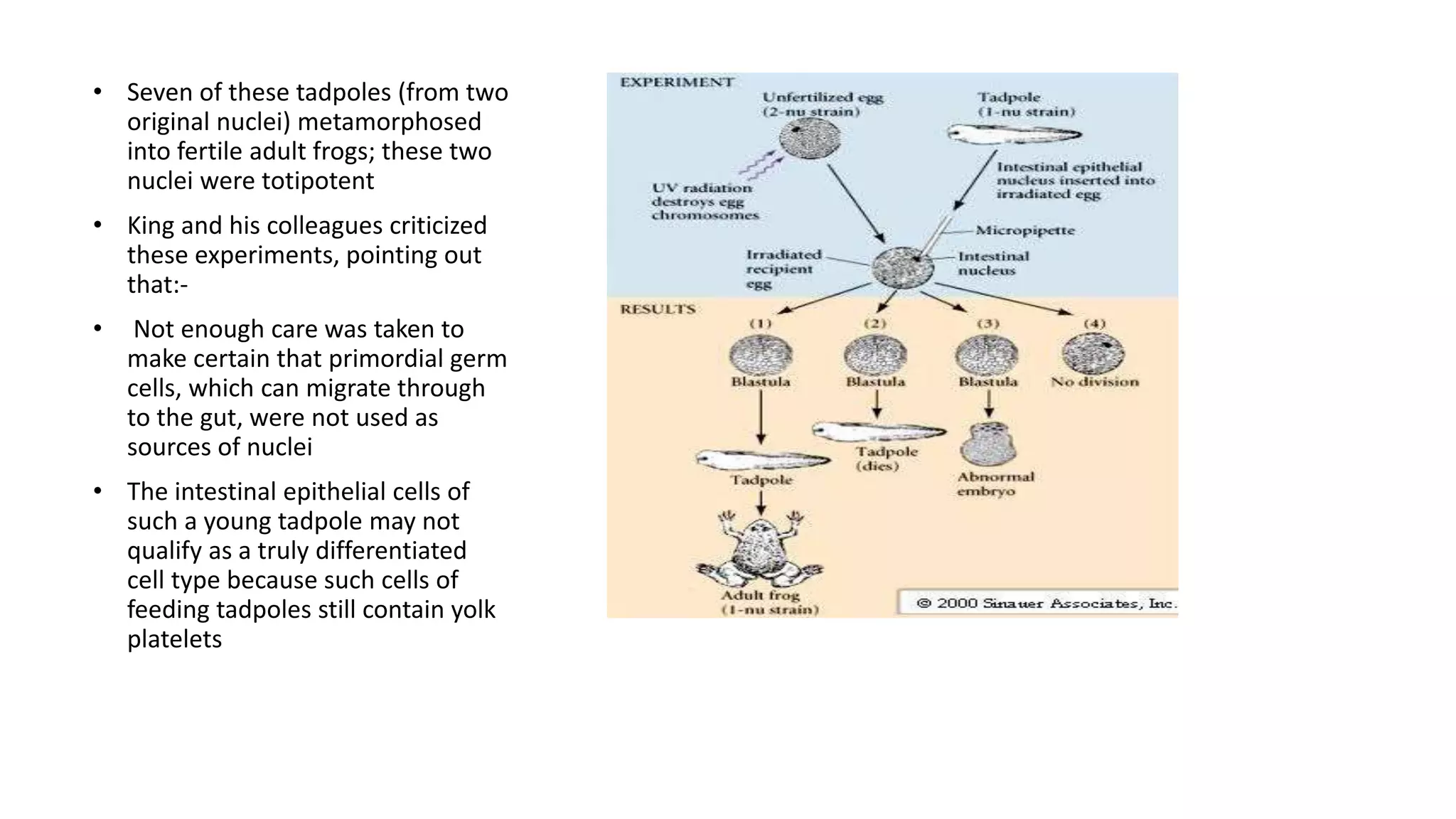 Cloning experiments in amphibians, mammals and human | PPTX