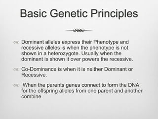 Cloning extinct species | PPTX