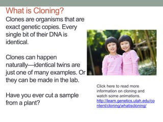 Cloning & Genetic Engineering | PPTX