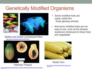 Cloning & Genetic Engineering | PPTX