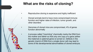 Cloning(human cloning) sreenivas.m final ppt | PPT