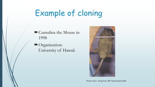 Cloning(human cloning) sreenivas.m final ppt | PPTX