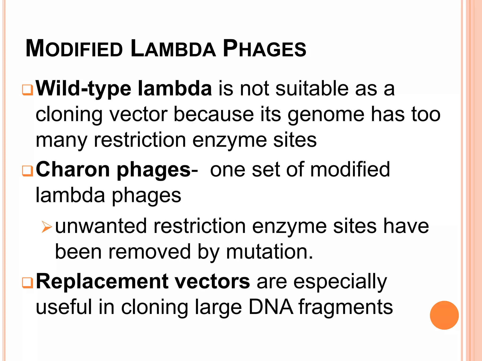 Cloning in eukaryotes | PPTX