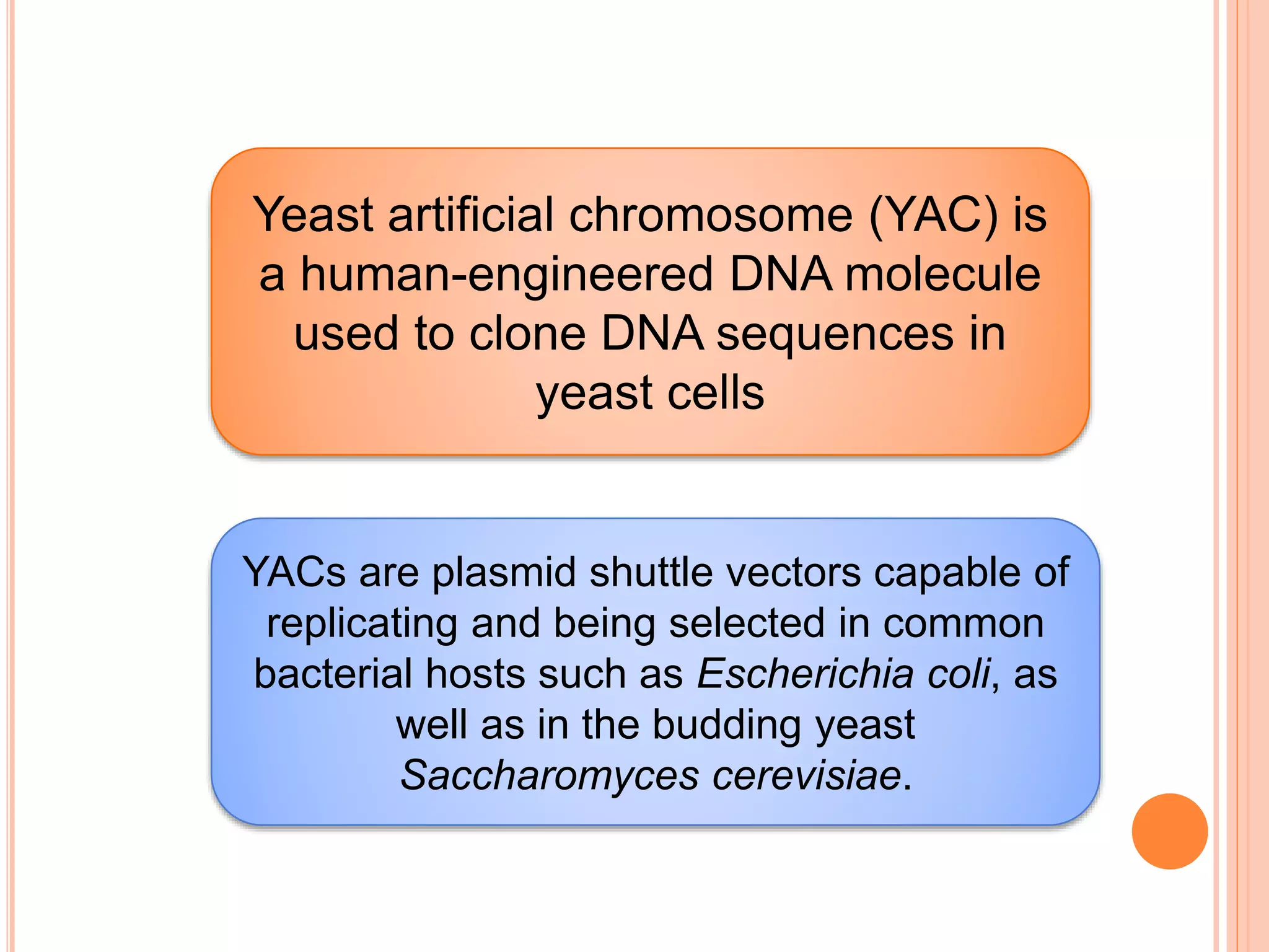 Cloning in eukaryotes | PPTX