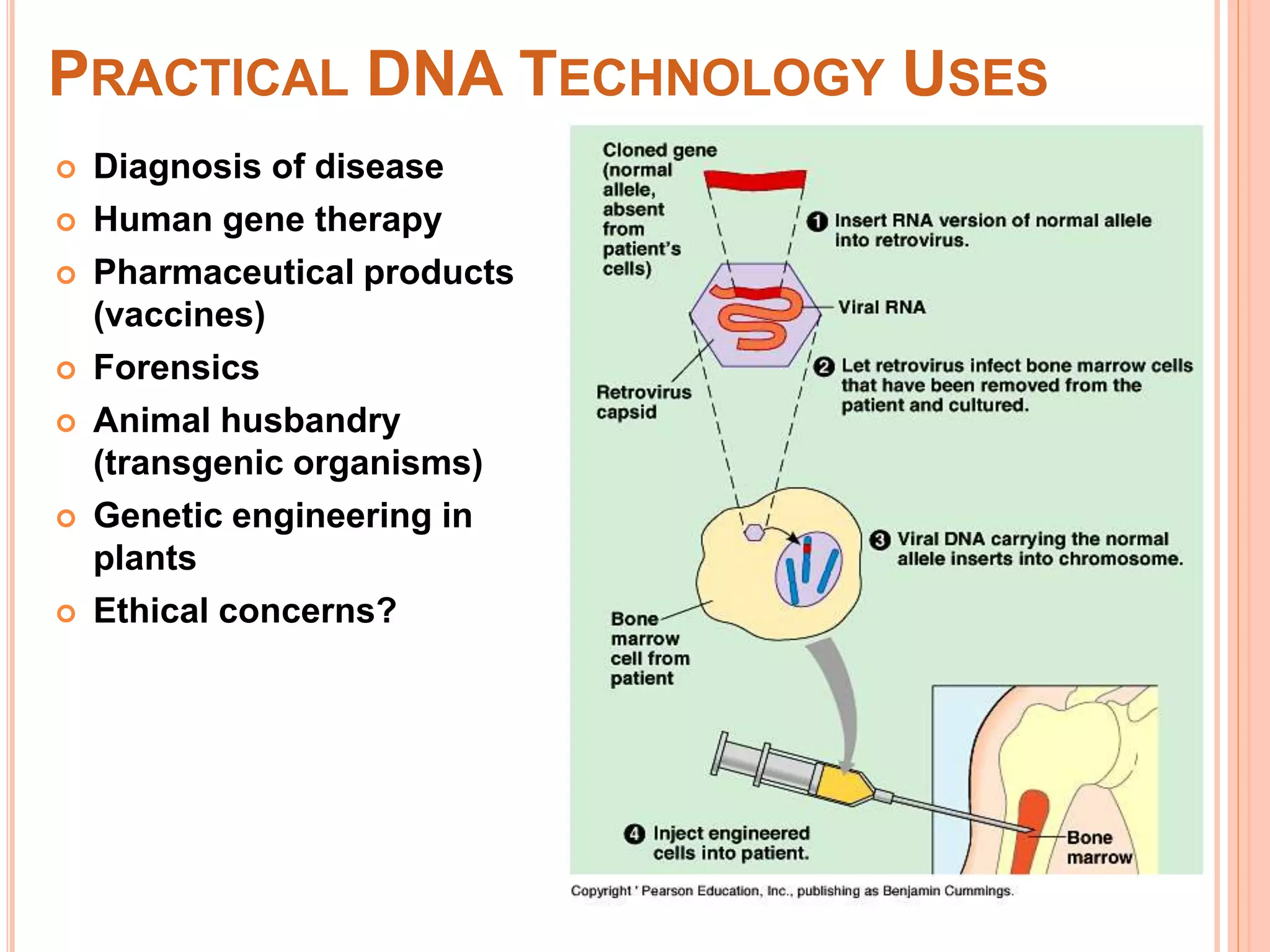 Cloning in eukaryotes | PPTX