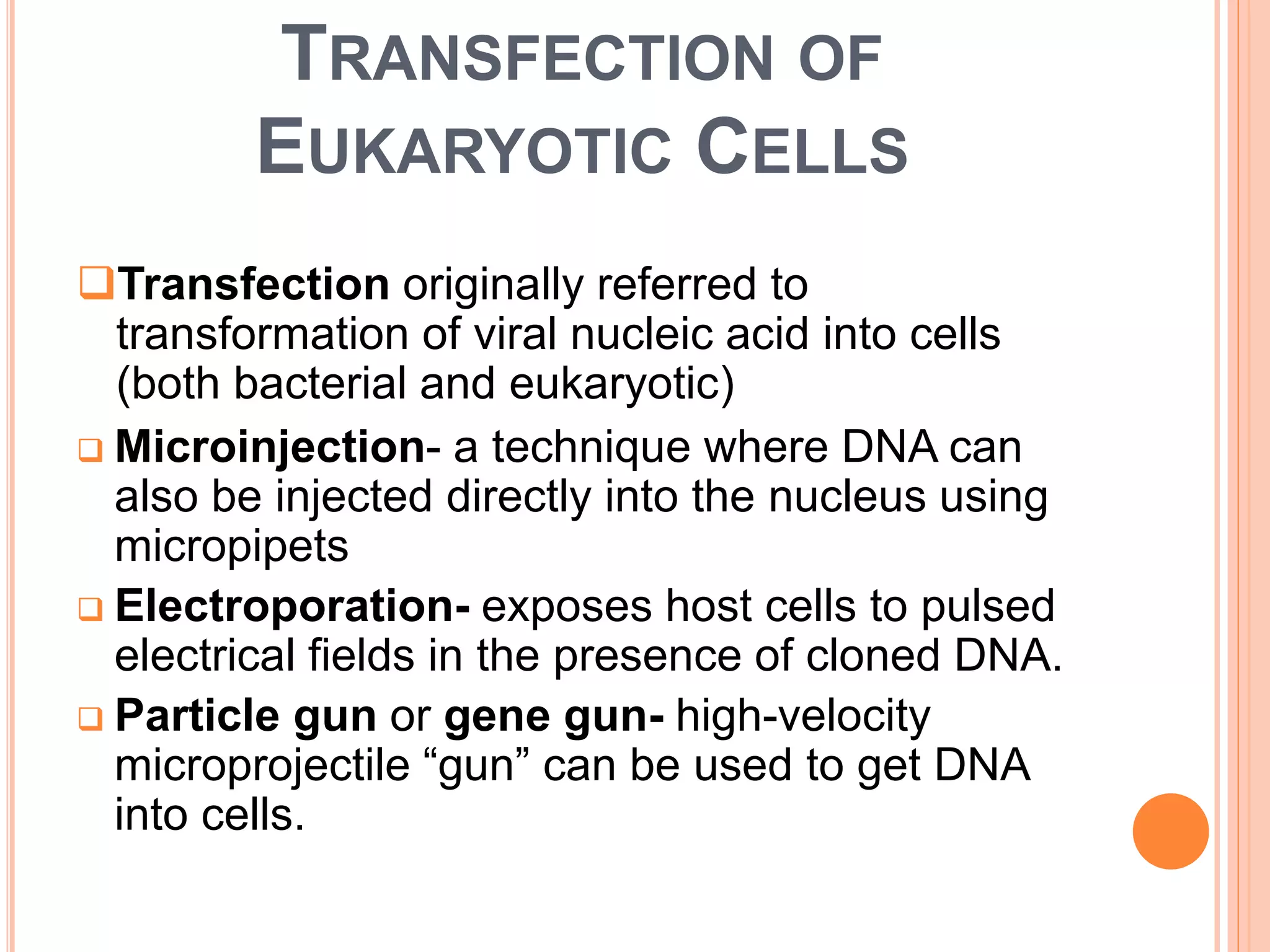 Cloning in eukaryotes | PPTX
