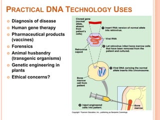 Cloning in eukaryotes | PPTX