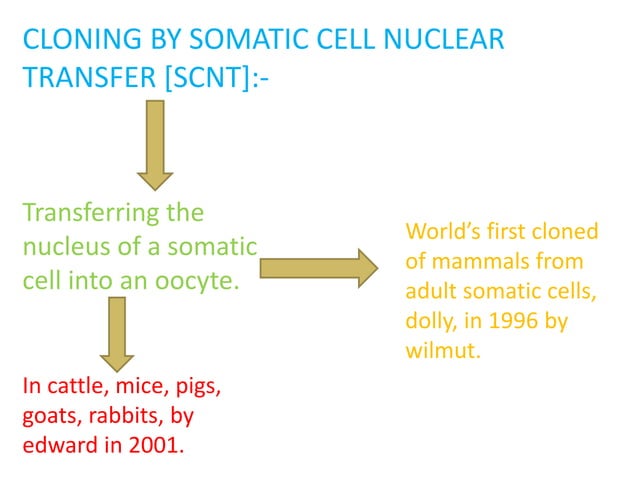 Cloning in mammals by nuclear transfer technique... | PPTX ...