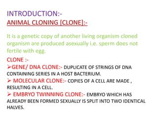 Cloning in mammals by nuclear transfer technique... | PPTX