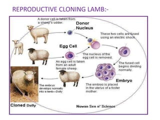 Cloning in mammals by nuclear transfer technique... | PPTX