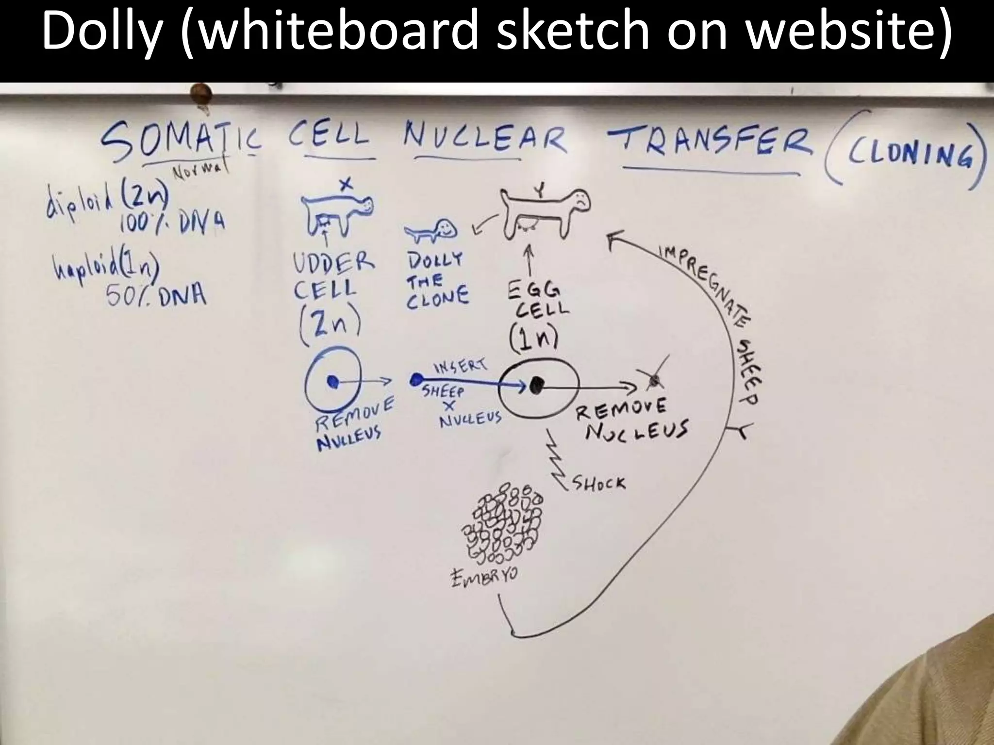 Cloning Notes | PPTX